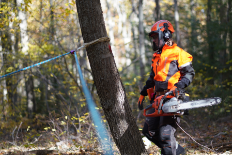 Achieving Chainsaw Safety Certification: A Step-by-Step Guide - scenicloopcafe.com